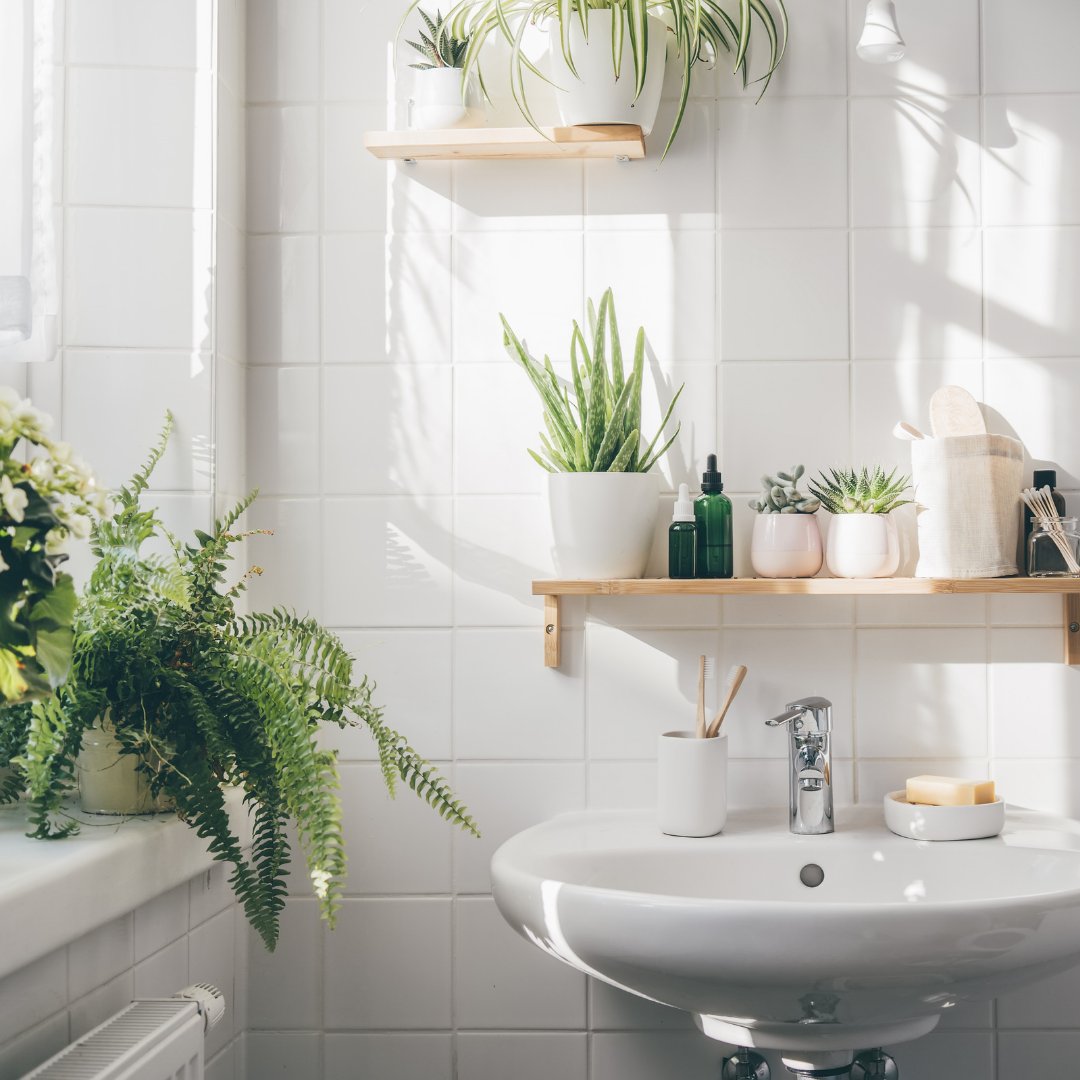 Bathroom – The Coast Refillery